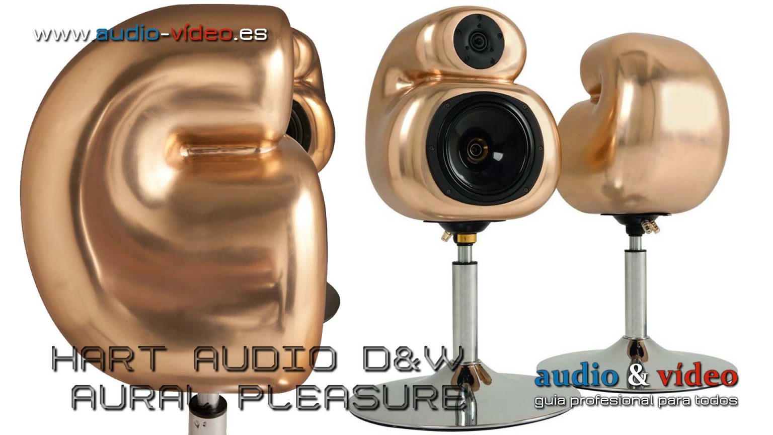 Hart Audio D&W Aural Pleasure - altavoces por solo $4.7 million